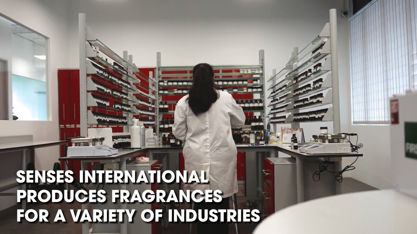 Working at Senses International Pte Ltd - Company Profile & Information | Hiredly Malaysia