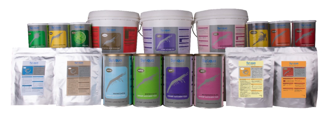 Working at Syaqua - Company Profile & Information | Hiredly Malaysia