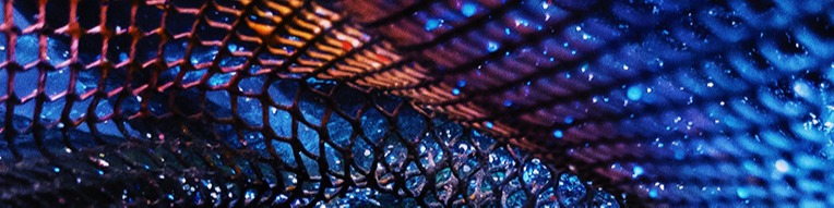 Working at Morph Digital Sdn. Bhd. - Company Profile & Information ...