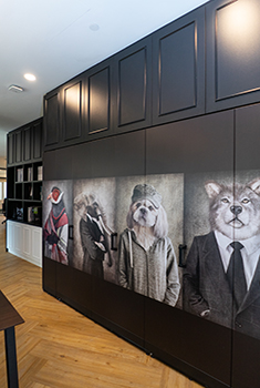 Working at Adnex Interior Solution - Company Profile & Information ...