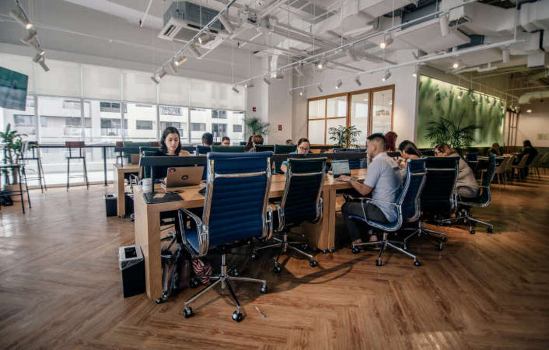 Working at Treehub - Company Profile & Information | Hiredly Malaysia